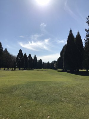 MCCLEERY GOLF COURSE - Updated September 2025 - 14 Photos & 12 Reviews ...