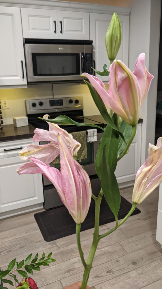 ARCADIA FLOWERS & GIFTS - Updated July 2025 - 39 Photos & 29 Reviews ...