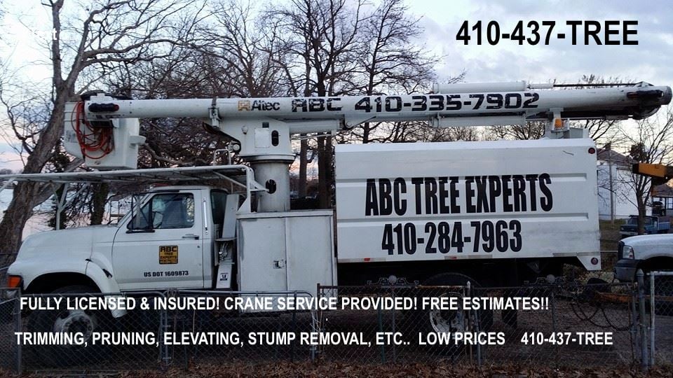 ABC TREE REMOVAL EXPERTS | 3724 White Pine Rd, Middle River, Maryland ...