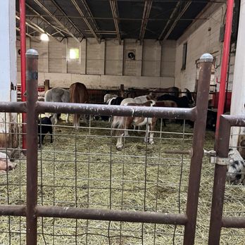 MEMORY LANE STABLES - Updated December 2025 - 168 Photos & 123 Reviews ...