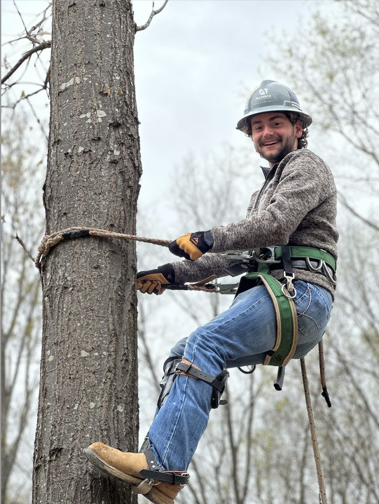 THE TREE COMPANY - Updated August 2025 - Request a Quote - 10 Photos ...