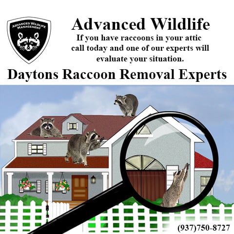 ADVANCED WILDLIFE MANAGEMENT - Updated May 2026 - 13 Photos - 421 ...