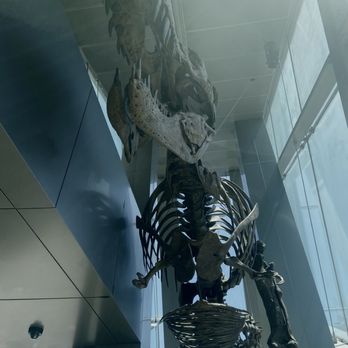 PEROT MUSEUM OF NATURE AND SCIENCE - Updated January 2025 - 2421 Photos ...