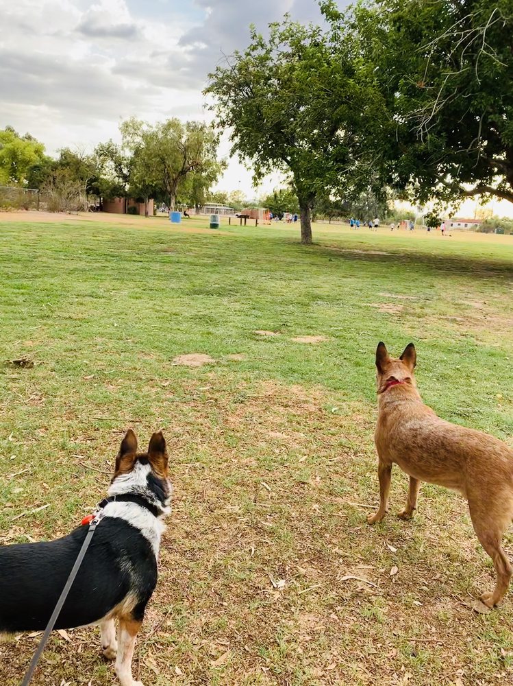 FORT LOWELL PARK - 31 Photos & 12 Reviews - Parks - 2998 N Craycroft Rd ...