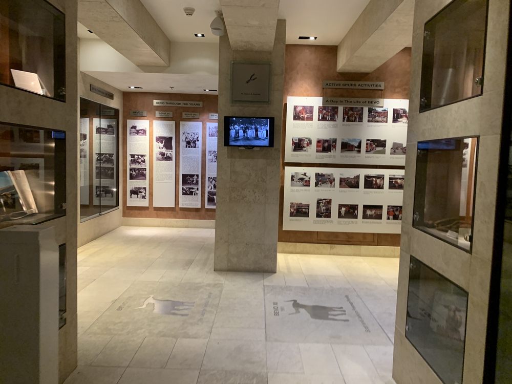 THE UNIVERSITY OF TEXAS CLUB - 147 Photos & 39 Reviews - 2108 Robert ...