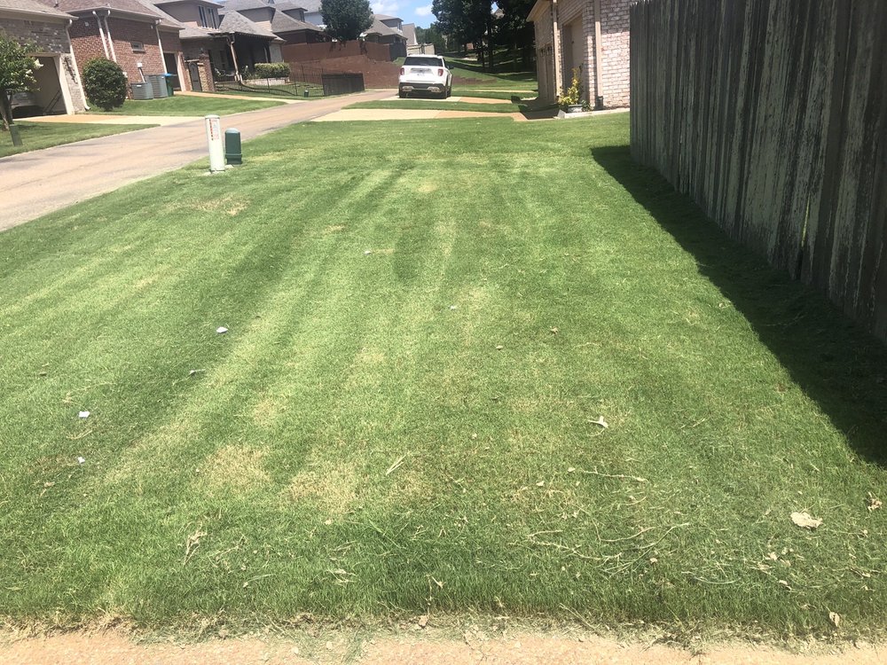 LAWN LOVE LAWN CARE - Updated October 2025 - 15 Photos & 29 Reviews ...