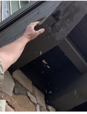 JOHNNY TERMITE - Updated August 2025 - 42 Photos & 12 Reviews ...