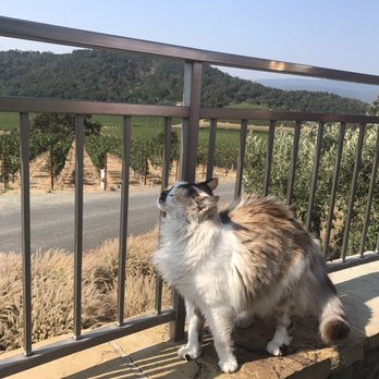 SHAFER VINEYARDS - Updated September 2025 - 176 Photos & 49 Reviews ...