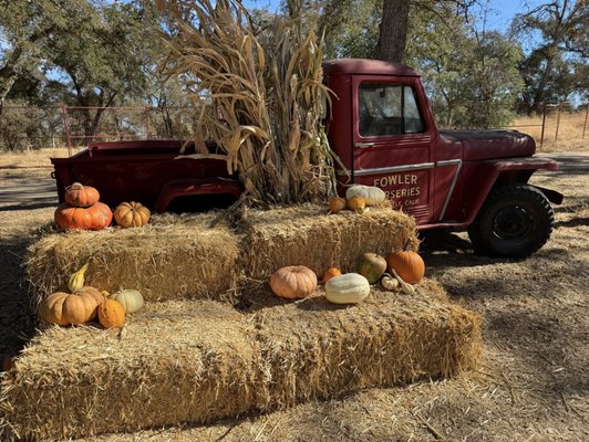 FOWLER RANCH - Updated July 2025 - 68 Photos & 36 Reviews - 3111 Lincoln Newcastle Hwy 193 ...