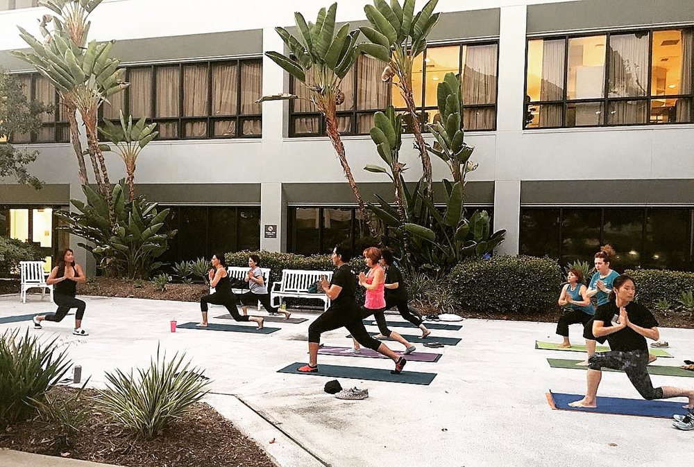 PUREFIT WELLNESS LA - Updated October 2025 - 26 Photos - Los Angeles ...