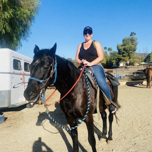 SUSIE Q RANCH - 192 Photos & 154 Reviews - 28330 Mary Pl, Murrieta, CA ...