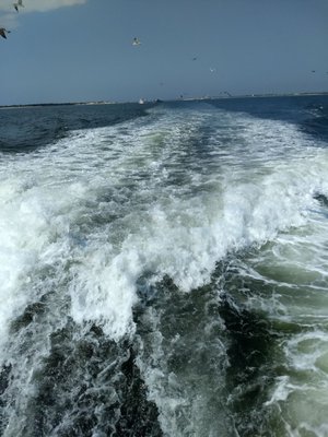 CAPTREE PRIDE - 20 Photos & 24 Reviews - 3500 Ocean Pkwy E, Bay Shore ...