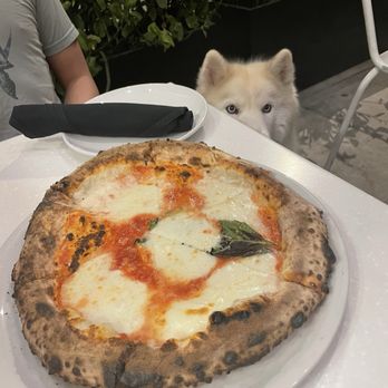 POMO - PHOENIX - Updated June 2024 - 1319 Photos & 1300 Reviews - 705 N ...