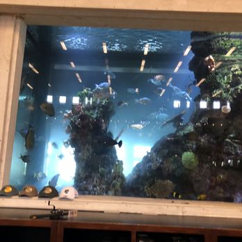 BASS PRO SHOPS - Updated November 2025 - 77 Photos & 54 Reviews - 6425 ...