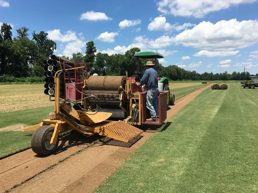 MCCURDY SOD FARMS - Updated August 2024 - 10 Photos - 4 New Bethlehem ...
