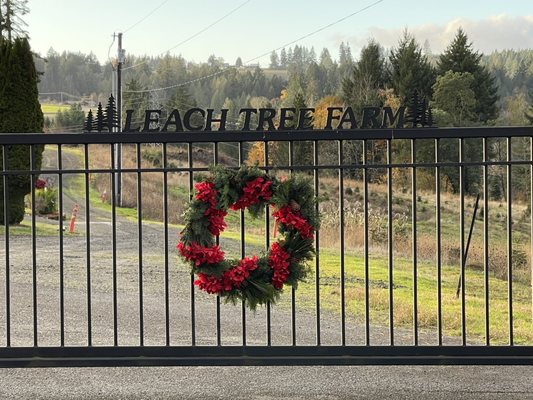 LEACH TREE FARMS - Updated December 2025 - 27 Photos & 18 Reviews ...