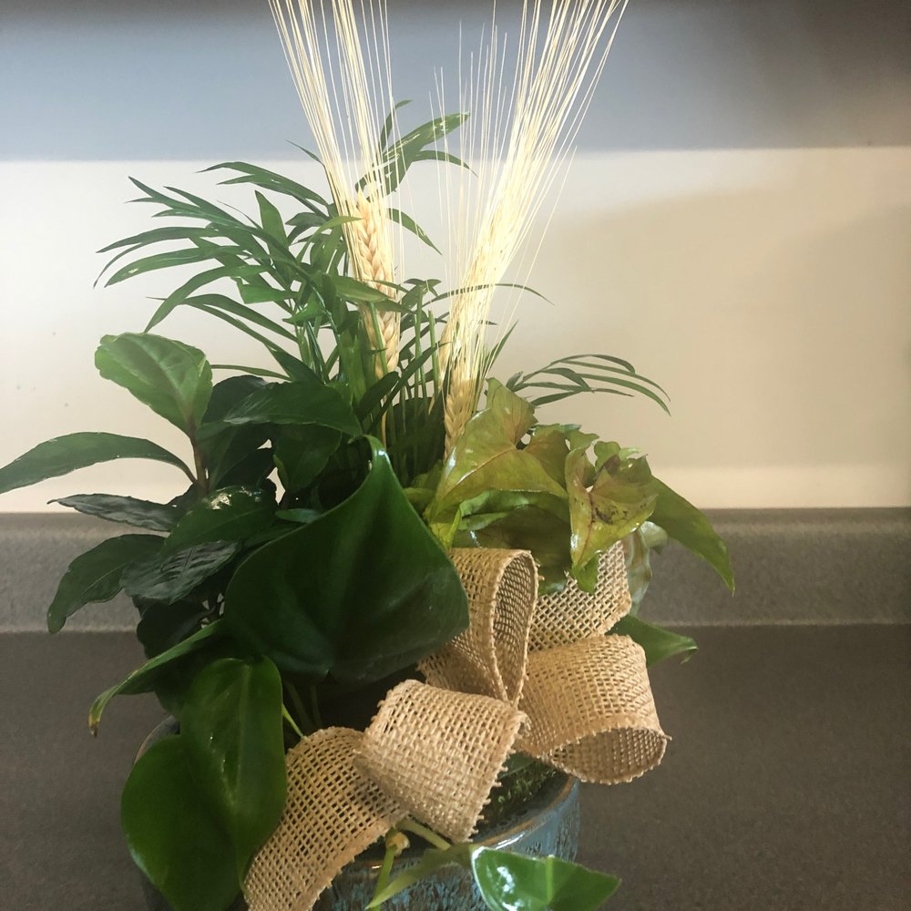 Flowers In Greer Sc | Best Flower Site