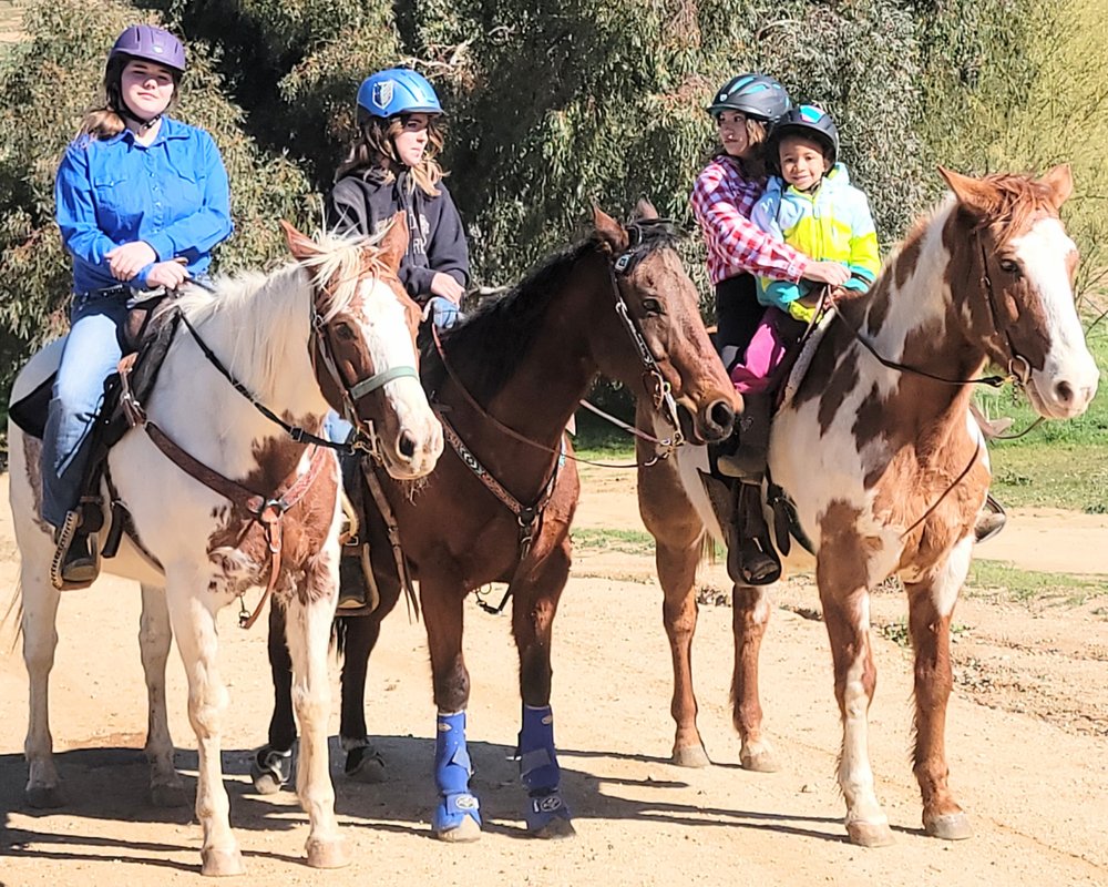 RUSTY HEART RANCH HORSE RESCUE - Updated May 2024 - 38943 Orchard St ...