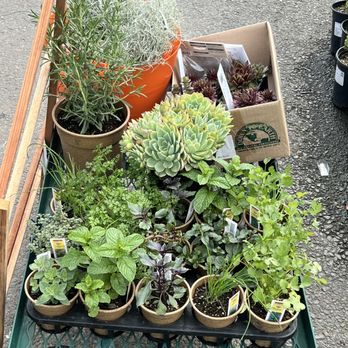 FLOWERCRAFT GARDEN CENTER - Updated April 2025 - 704 Photos & 232 ...