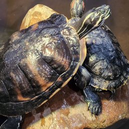 FLOATING SEA AQUATICS - Updated August 2025 - 269 Photos & 57 Reviews ...