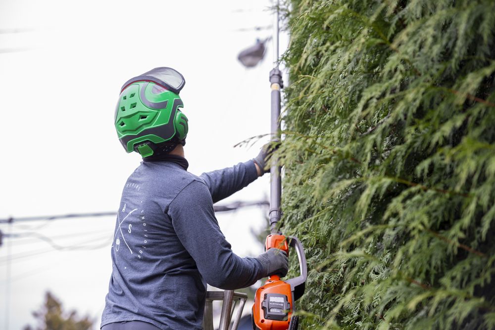 DEVINE ARBORICULTURAL SOLUTIONS - Updated June 2025 - 110 Photos - 2595 Wall Street, Vancouver ...