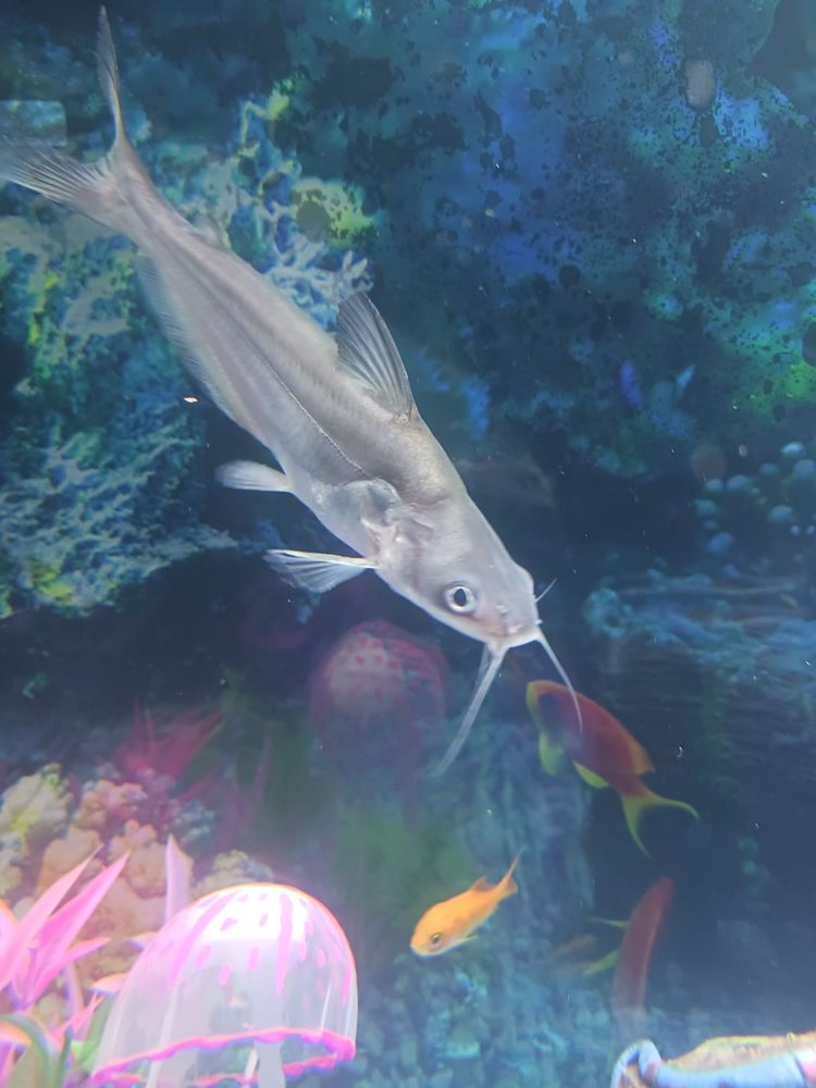 RIVERSIDE CAMP AND MARINA - Updated December 2025 - 16 Photos - 715 ...