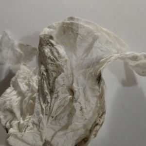 KULAK ARMS - Updated July 2025 - 450 Lawrenceville Rd, Lawrence, New ...