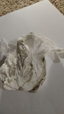 MODERN MUNITIONS - Updated May 2025 - 10 Reviews - 6919 Bristol Pike ...