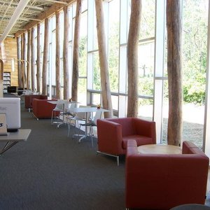 SALINE DISTRICT LIBRARY - Updated May 2024 - 20 Photos & 11 Reviews ...