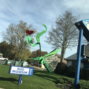 INSECTROPOLIS - 42 Photos & 23 Reviews - 1761 Rte 9, Toms River, New ...