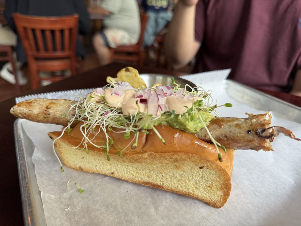 DESTINATION DOGS - Updated September 2025 - 1645 Photos & 1280 Reviews ...