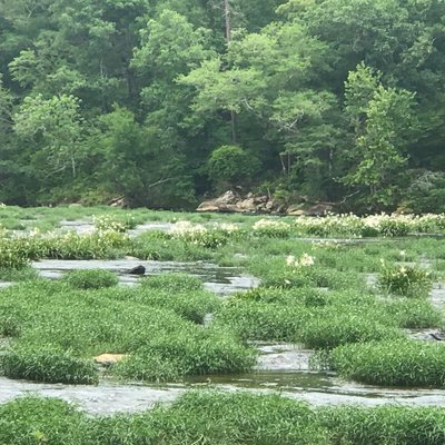 CAHABA RIVER NATIONAL WILDLIFE REFUGE - Updated October 2025 - 12 ...