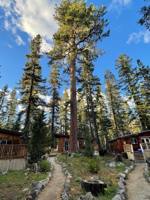 KIT CARSON LODGE - Updated June 2025 - 169 Photos & 103 Reviews - 32161 ...