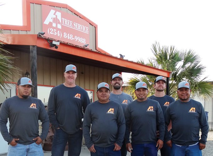 A1 TREE SERVICE - Updated October 2025 - 13 Photos - 6612 N State ...