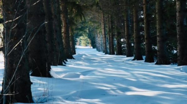 CRYSTAL RIDGE FARM AND ARTISAN STUDIO - Updated May 2025 - 11 Photos ...