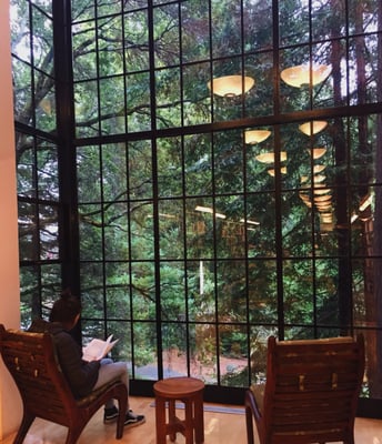 MILL VALLEY PUBLIC LIBRARY - 37 Photos & 63 Reviews - 375 Throckmorton ...