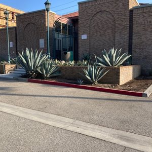 WILL & ARIEL DURANT BRANCH LIBRARY - Updated January 2025 - 12 Photos ...