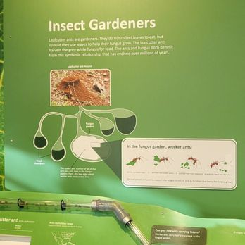 MUSEUM OF SCIENCE - Updated March 2025 - 1609 Photos & 823 Reviews - 1 ...