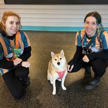 THE BOOZY MUTT - Updated March 2025 - 85 Photos & 23 Reviews - 2639 ...