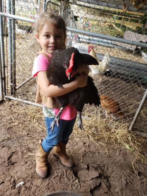 HAPPI FARM - 187 Photos & 49 Reviews - Community Service/Non-Profit ...