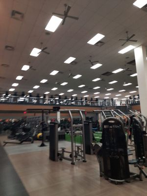 LA FITNESS - Updated November 2025 - 53 Photos - 127 Reviews - 5 Gateway Blvd, Patchogue, New ...
