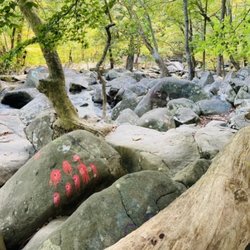 ST. PETER’S VILLAGE - 44 Photos - 3471 St Peter's Rd, Saint Peters ...