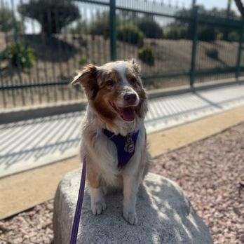 ROWENA RESERVOIR - Updated October 2025 - 50 Photos - 3100 Ettrick St ...