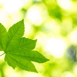 BUSKENS ISLAND MARINE - Updated August 2025 - 2449 Buskens Ln, Gulf ...