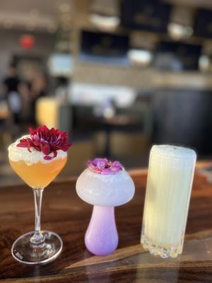 MANDRAKE ROOFTOP - 523 Photos & 130 Reviews - 810 N High St, Columbus ...