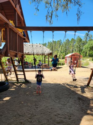 SHOWCASE OF CITRUS - Updated August 2024 - 1179 Photos & 244 Reviews ...