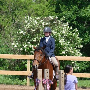 RT. 80 QUARRY RIDGE STABLES - 23 Photos - 5016 S Onondaga Rd, Nedrow ...