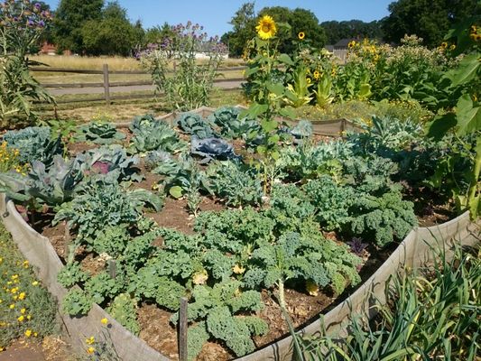 FORT VANCOUVER NATIONAL HISTORIC SITE - Updated July 2024 - 381 Photos ...