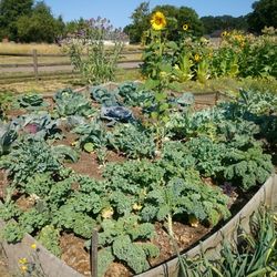 FORT VANCOUVER NATIONAL HISTORIC SITE - 289 Photos & 62 Reviews - 612 E ...