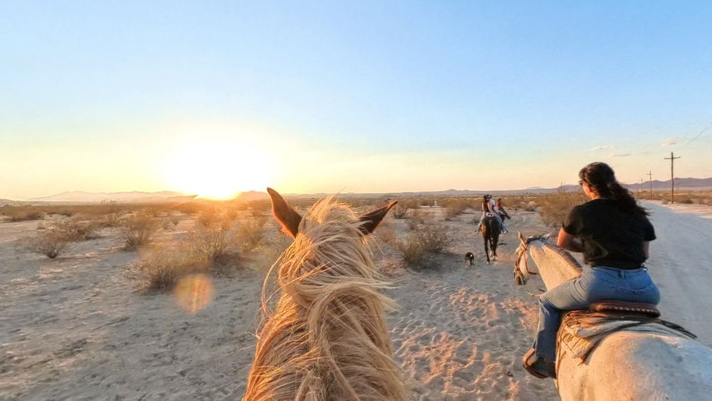 CASCADE TRAILS MUSTANG SANCTUARY - Updated December 2025 - 39 Photos ...